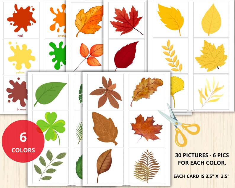 Autumn Leaf Activity Pack,leaves Unit Study,fall Unit Study Bundle,fall ...