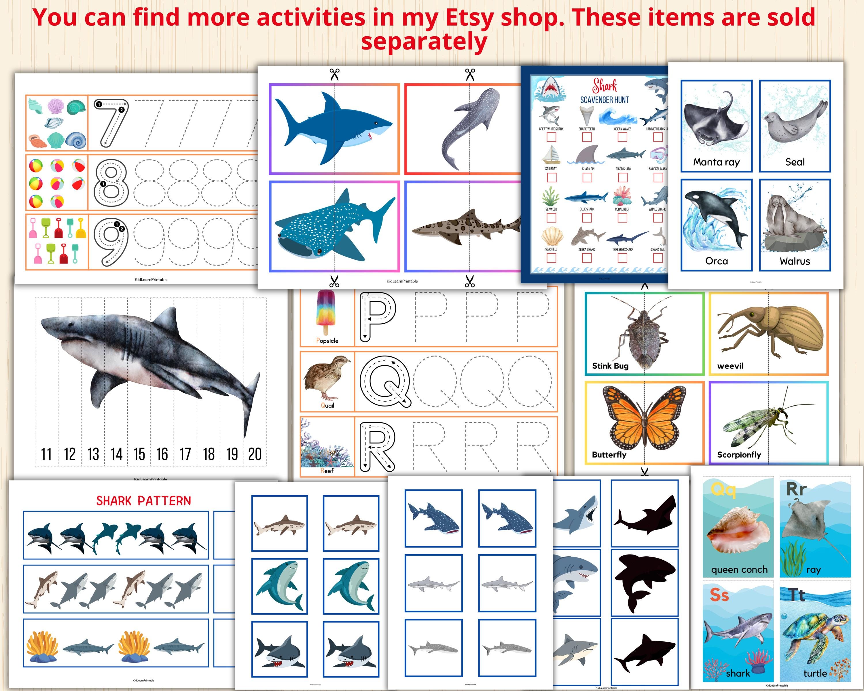 Shark Scavenger Hunt,ocean Treasure Hunt,shark Activity Kids,shark ...