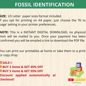 Fossil Identification Card,dinosaur Fossil,prehistoric Fossils,fossil ...