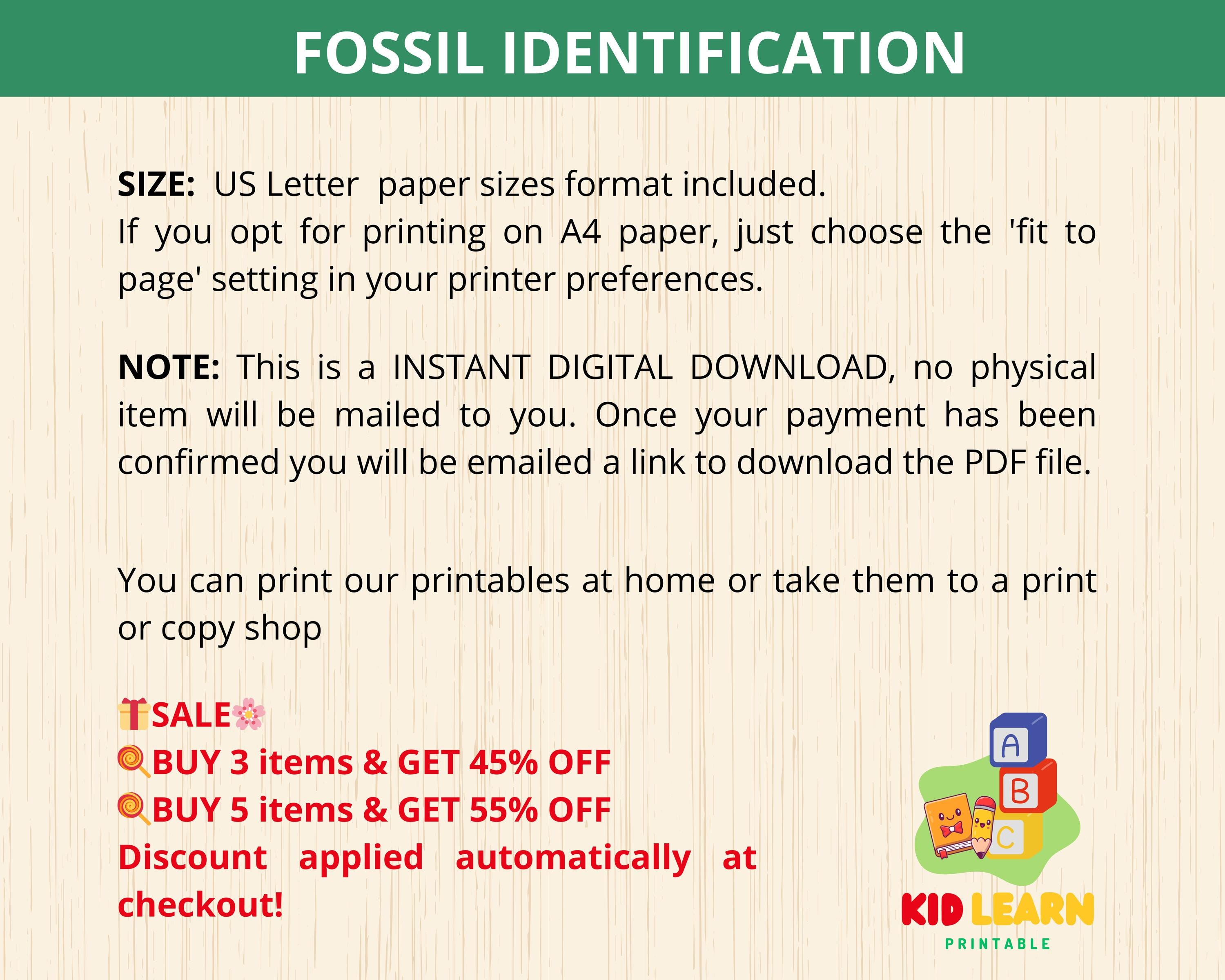 Fossil Identification Card,dinosaur Fossil,prehistoric Fossils,fossil ...