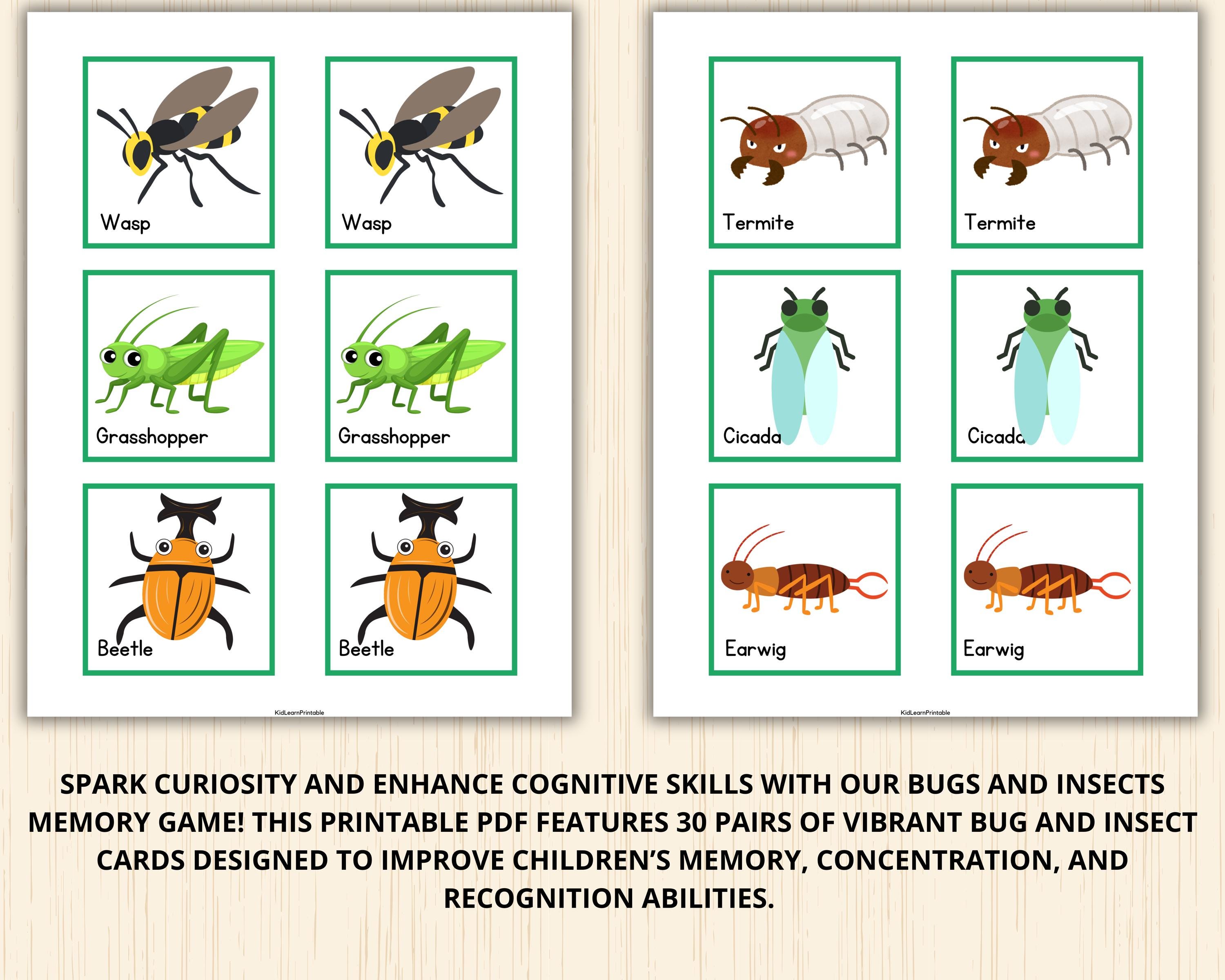 Bug Memory Game,insect Matching Game,bug Memory Cards,montessori Bugs ...