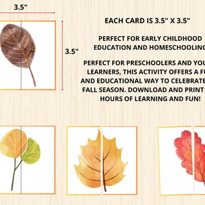 Matching Leaves,fall Activity for Kids, Toddler Activity,sensory Table ...