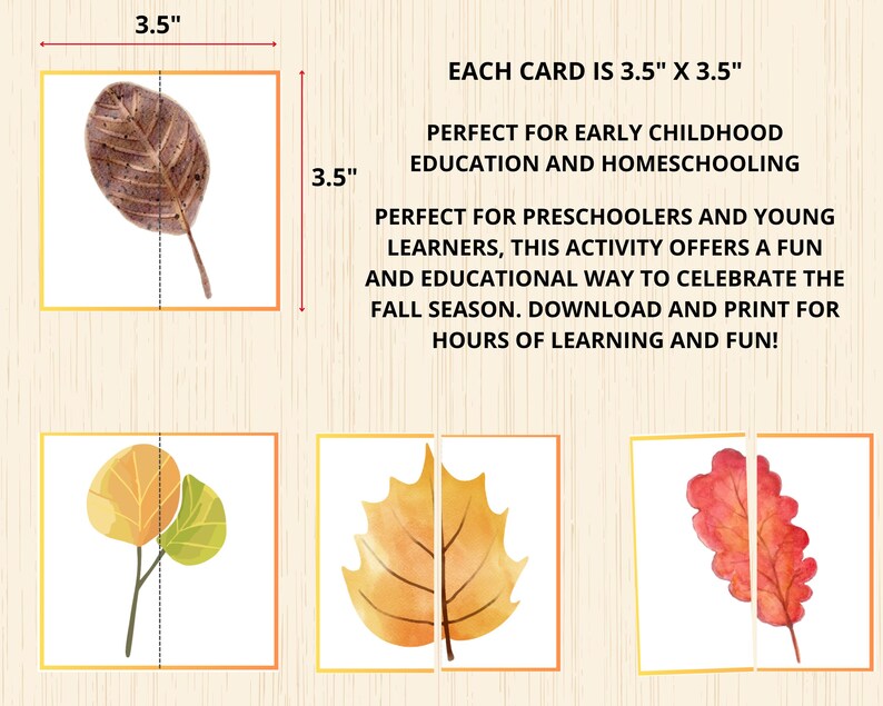 Matching Leaves,fall Activity for Kids, Toddler Activity,sensory Table ...