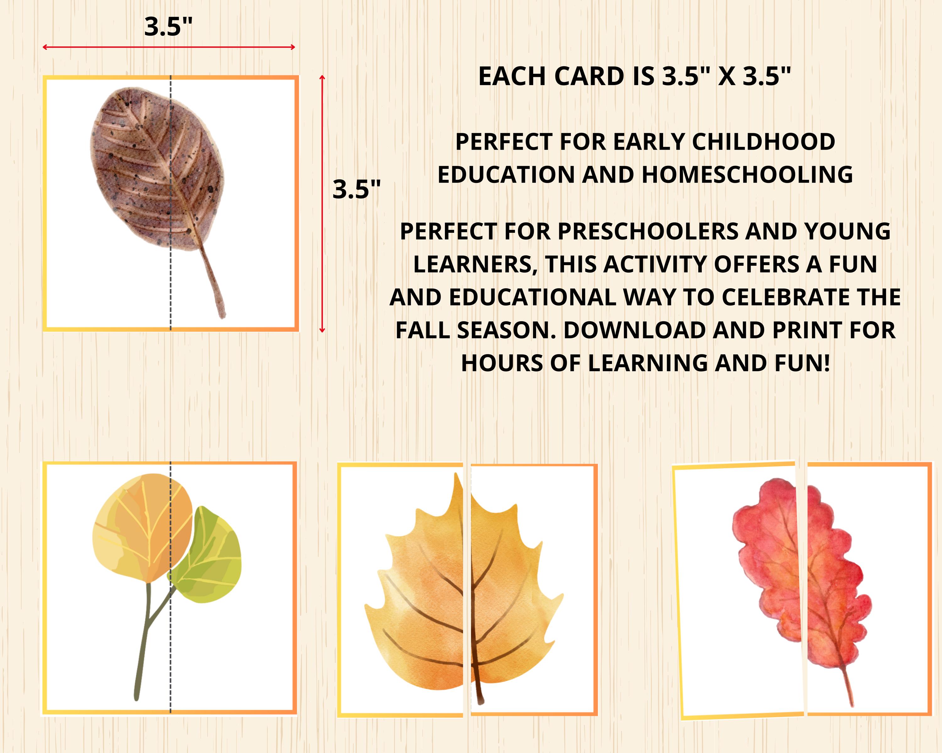 Matching Leaves,fall Activity for Kids, Toddler Activity,sensory Table ...