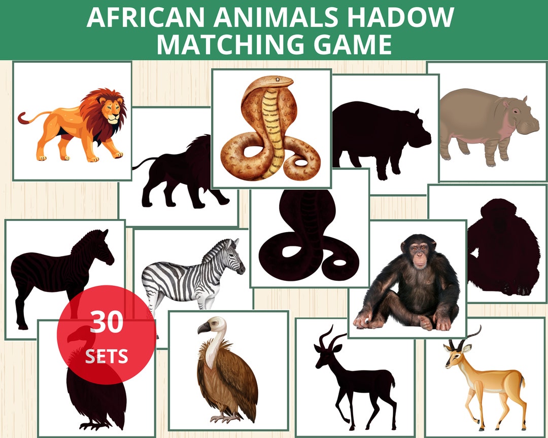 African Animals Shadow Game,safari Animals Shadow Matching Card,jungle ...
