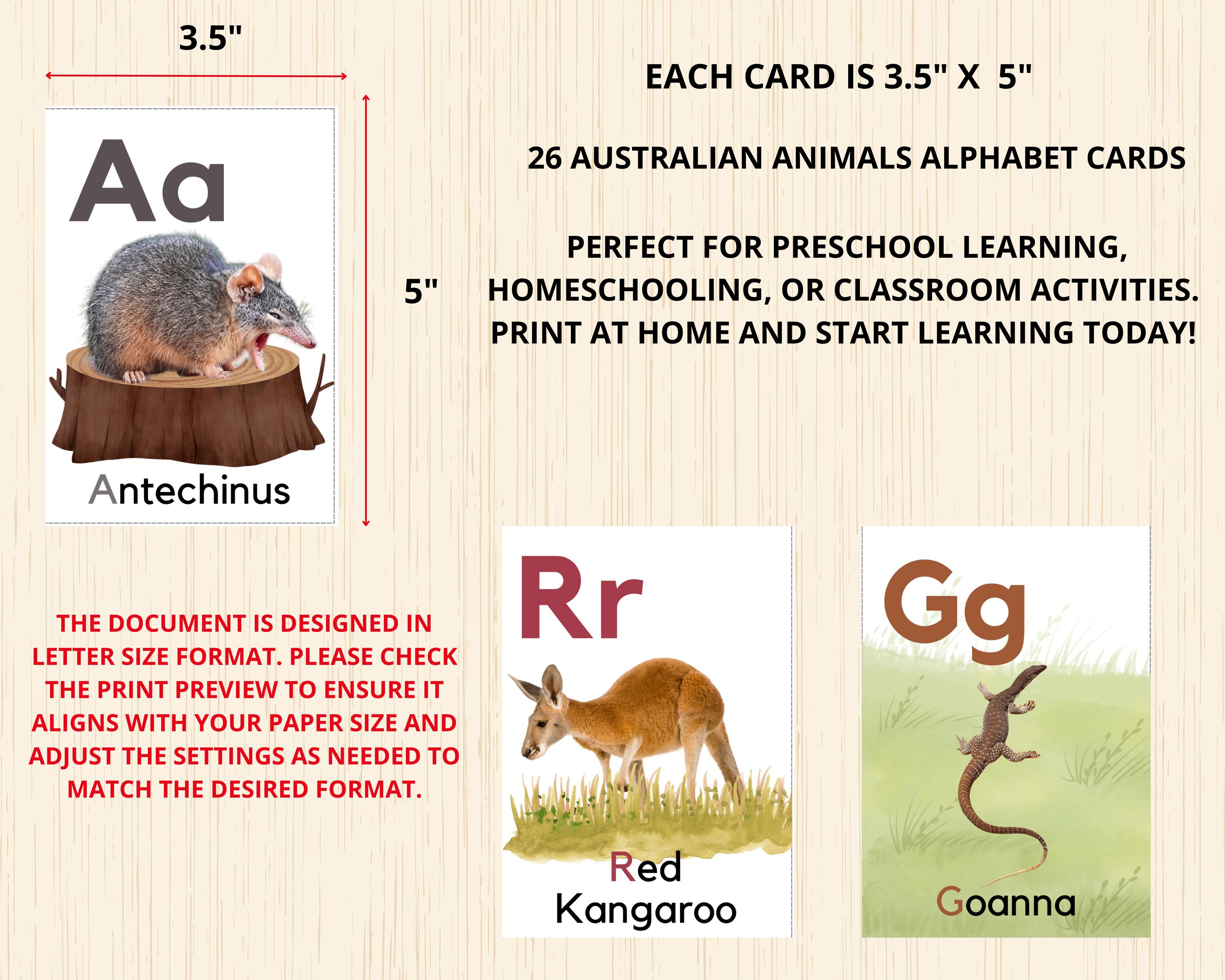 Australian Animals Alphabet,australian Alphabet Posters,abc Alphabet ...