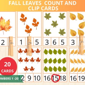 Insect Shadow Matching Cards,bug Shadow Matching, Preschool Insects ...