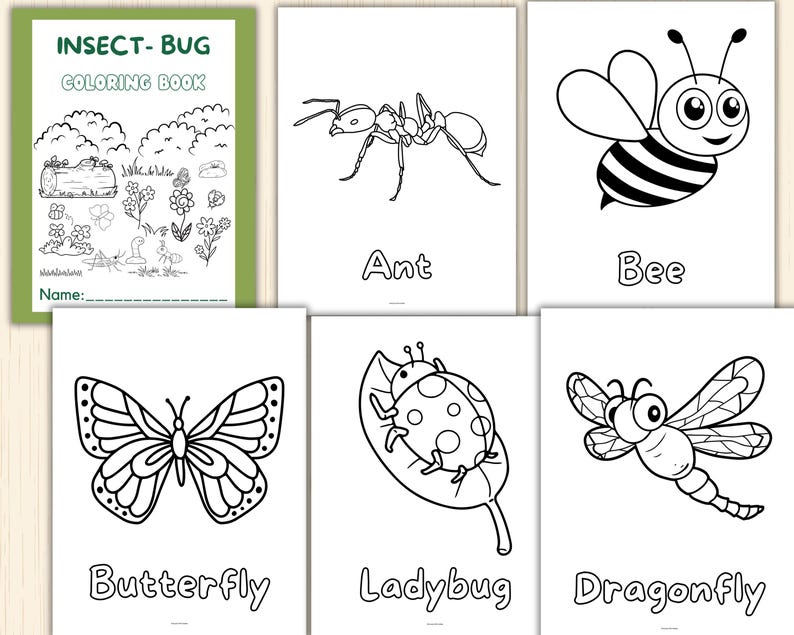 Insect Coloring Pages,bugs Coloring Sheet,insect Coloring Book,spring ...