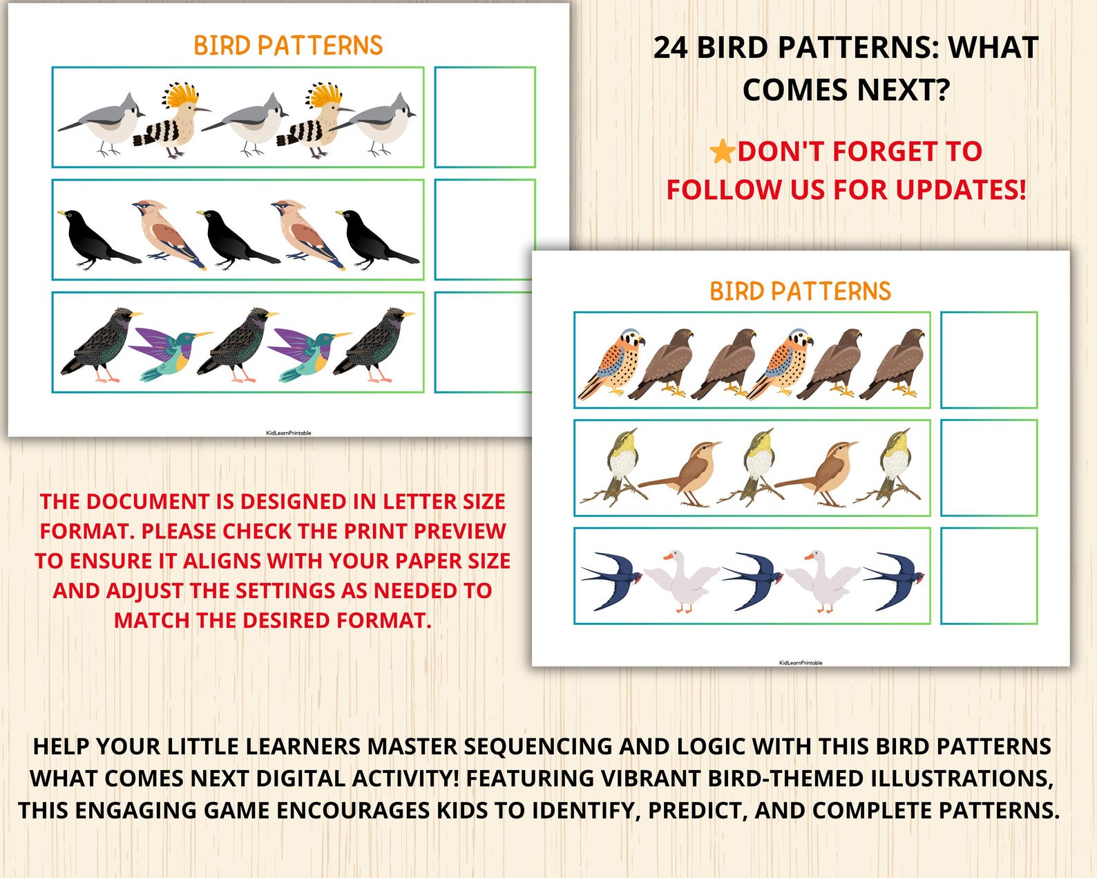 Bird Patterns,backyard Birds Activity,birds What Comes Next,pattern ...