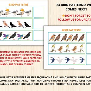 Bird Patterns,backyard Birds Activity,birds What Comes Next,pattern ...