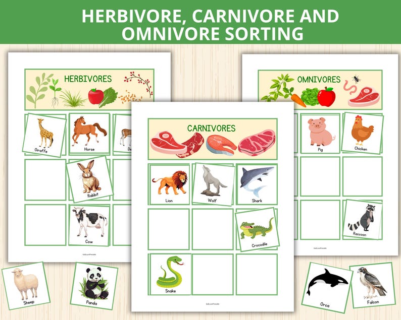 Animals Sorting Activity,herbivore Carnivore Omnivore Sorting Cards ...