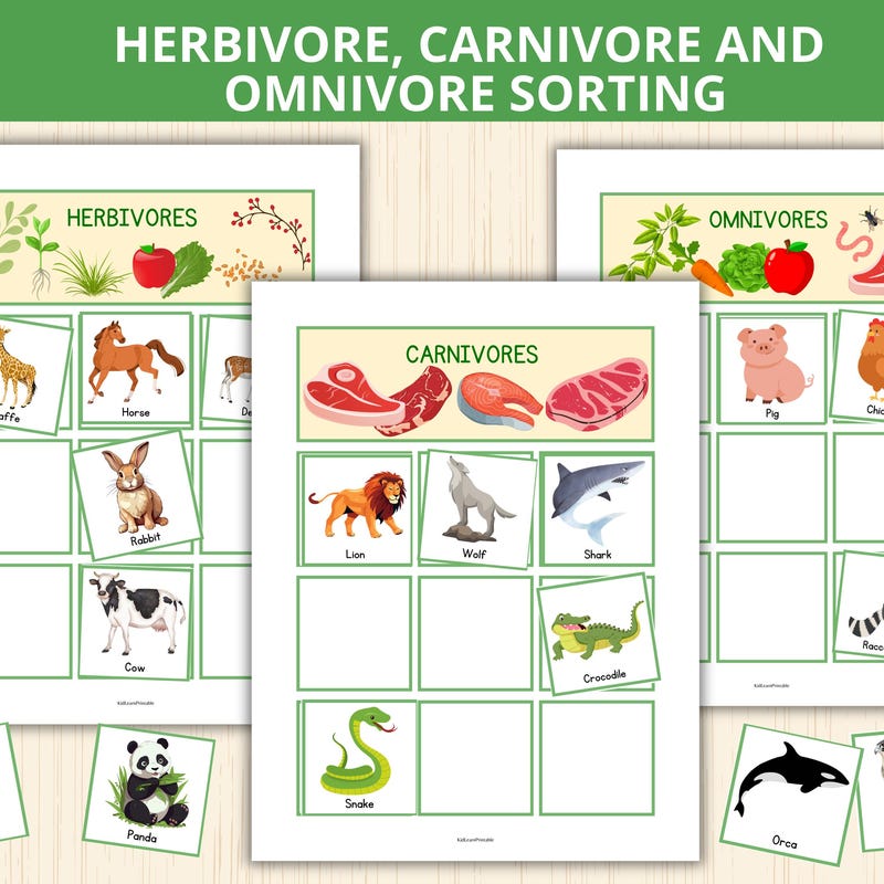 Animal Diet Worksheets - Etsy