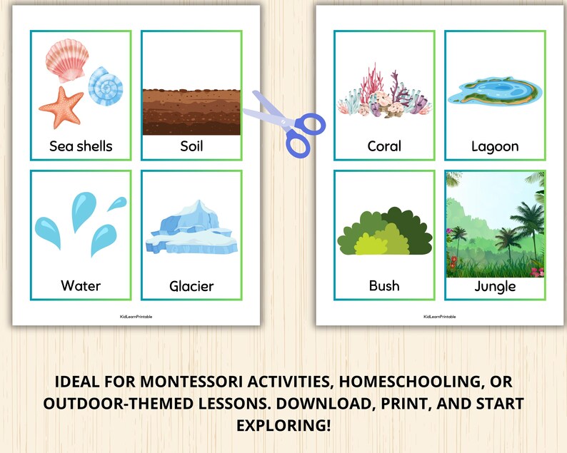 Nature Flashcards,nature Vocabulary,spring Flashcard,nature ...