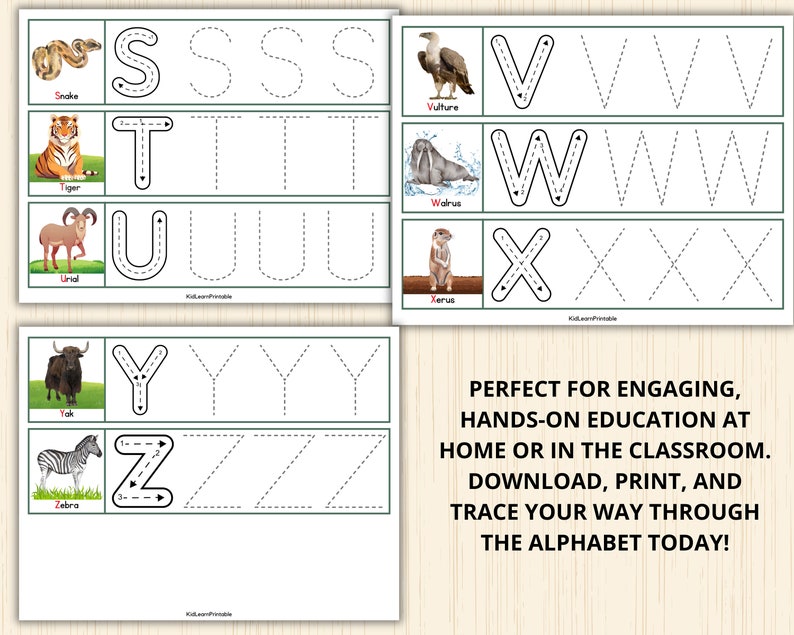 Zoo Alphabet Cards Tracing Letters,animal Alphabet Cards,letter Tracing ...