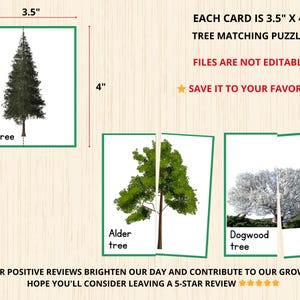 Tree Flashcards,tree Matching Cards,tree Real Pictures,tree Montessori ...