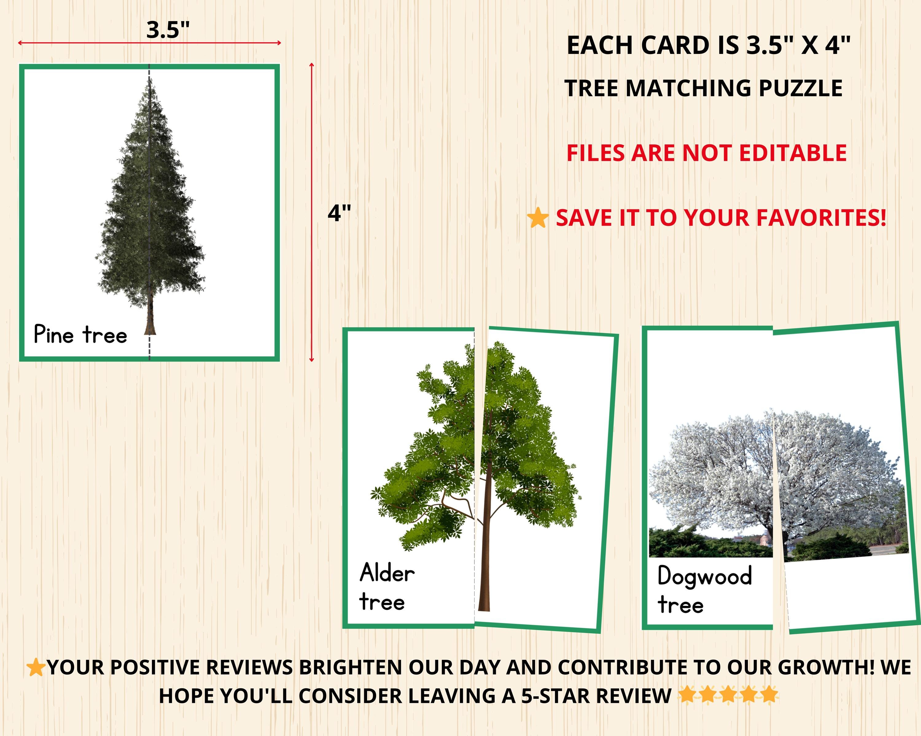 Tree Flashcards,tree Matching Cards,tree Real Pictures,tree Montessori ...