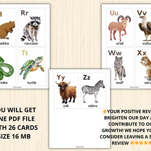 Wild Animals Flashcards,jungle Animals Alphabet,wild Animals Vocabulary ...
