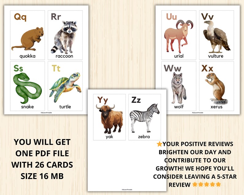 Wild Animals, Jungle Alphabet, Wild Animals Vocabulary,zoo Animals ...