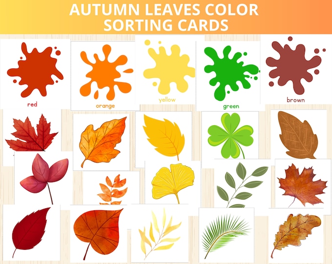 Autumn Color Sorting Activity,color Matching Game,autumn Leaves Colour ...