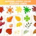 Autumn Color Sorting Activity,color Matching Game,autumn Leaves Colour ...