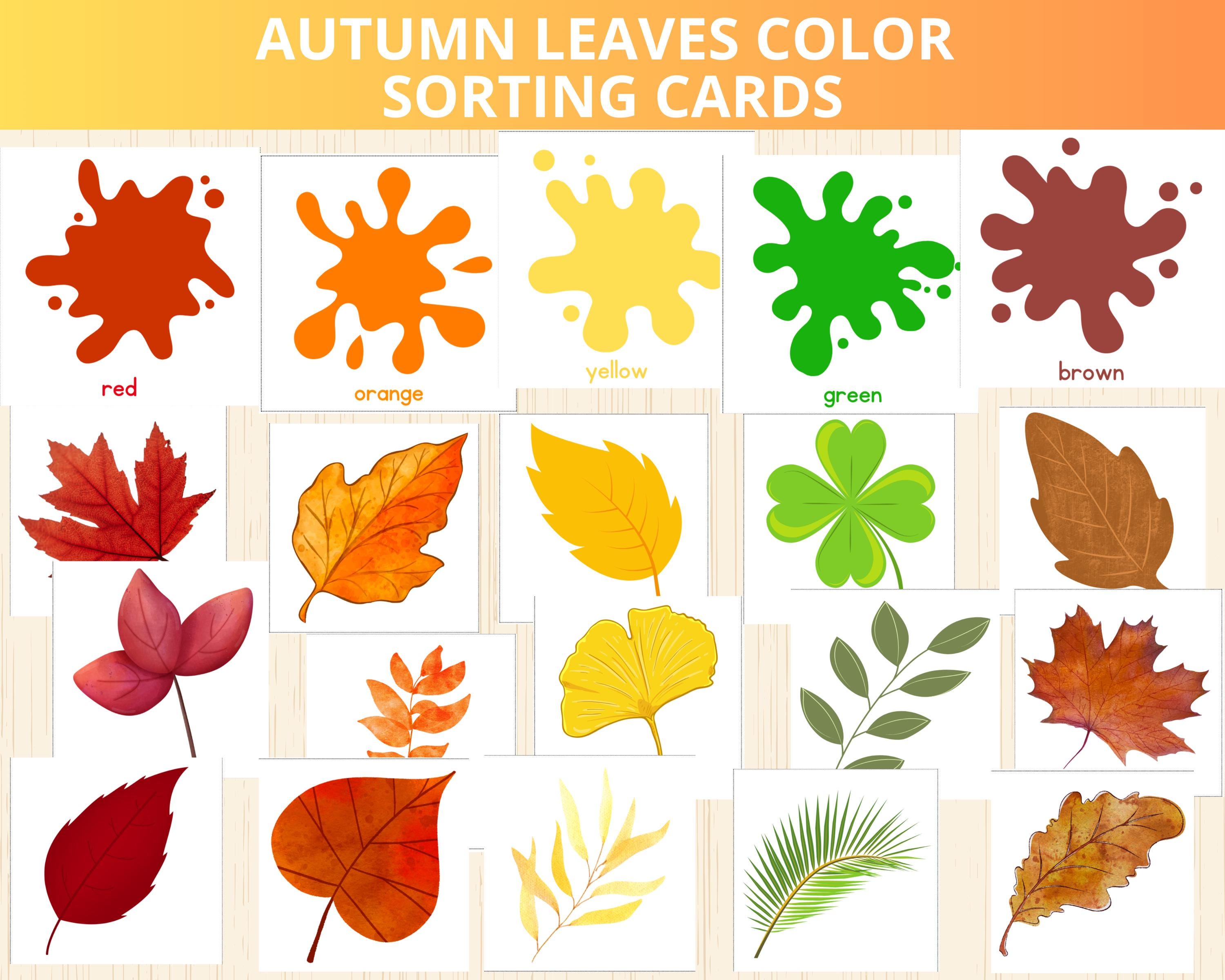 Autumn Color Sorting Activity,color Matching Game,autumn Leaves Colour ...