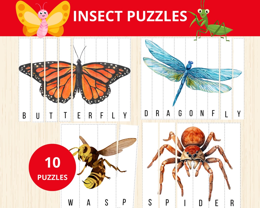 Insect Word Puzzle,bug Puzzle,montessori Math Spring,insect Activity ...