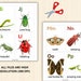 Insect Flashcards, Bug Alphabet,insect Alphabet Cards, Alphabet Flash ...