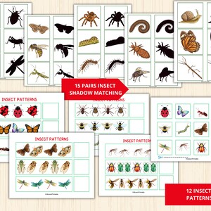 Insect Unit Study,preschool Curriculum,insect Bundle,insect Montessori ...