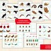 Insect Unit Study,preschool Curriculum,insect Bundle,insect Montessori ...