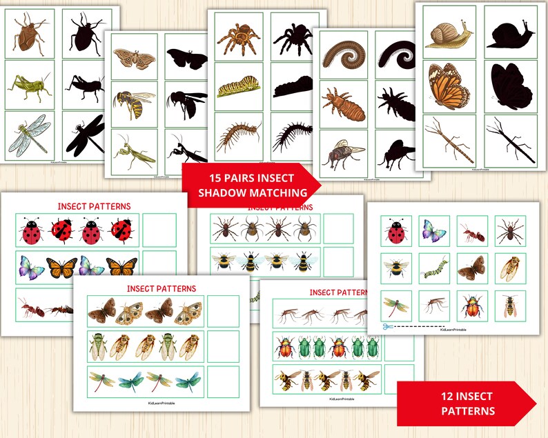 Insect Unit Study,preschool Curriculum,insect Bundle,insect Montessori ...