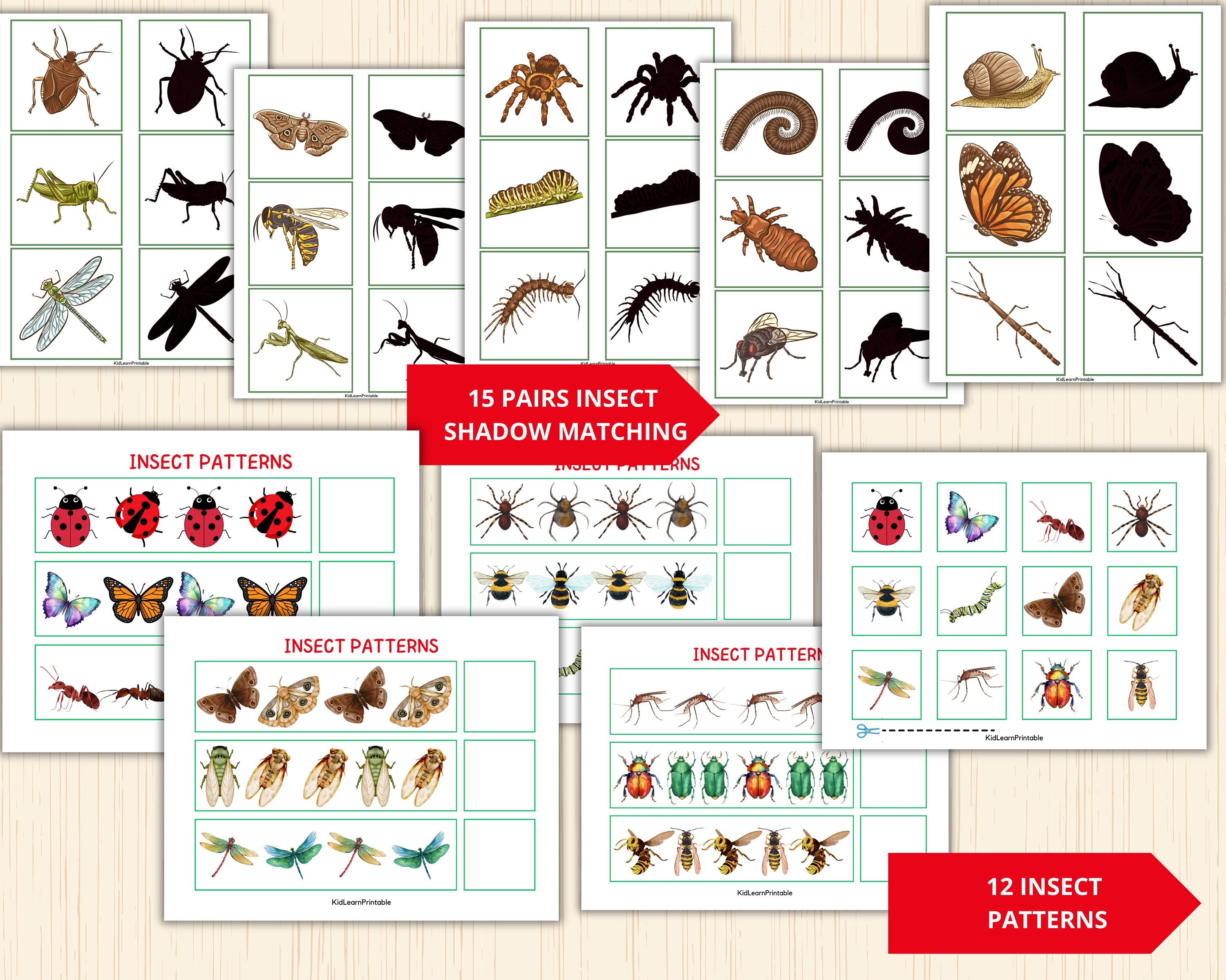 Insect Unit Study,preschool Curriculum,insect Bundle,insect Montessori ...