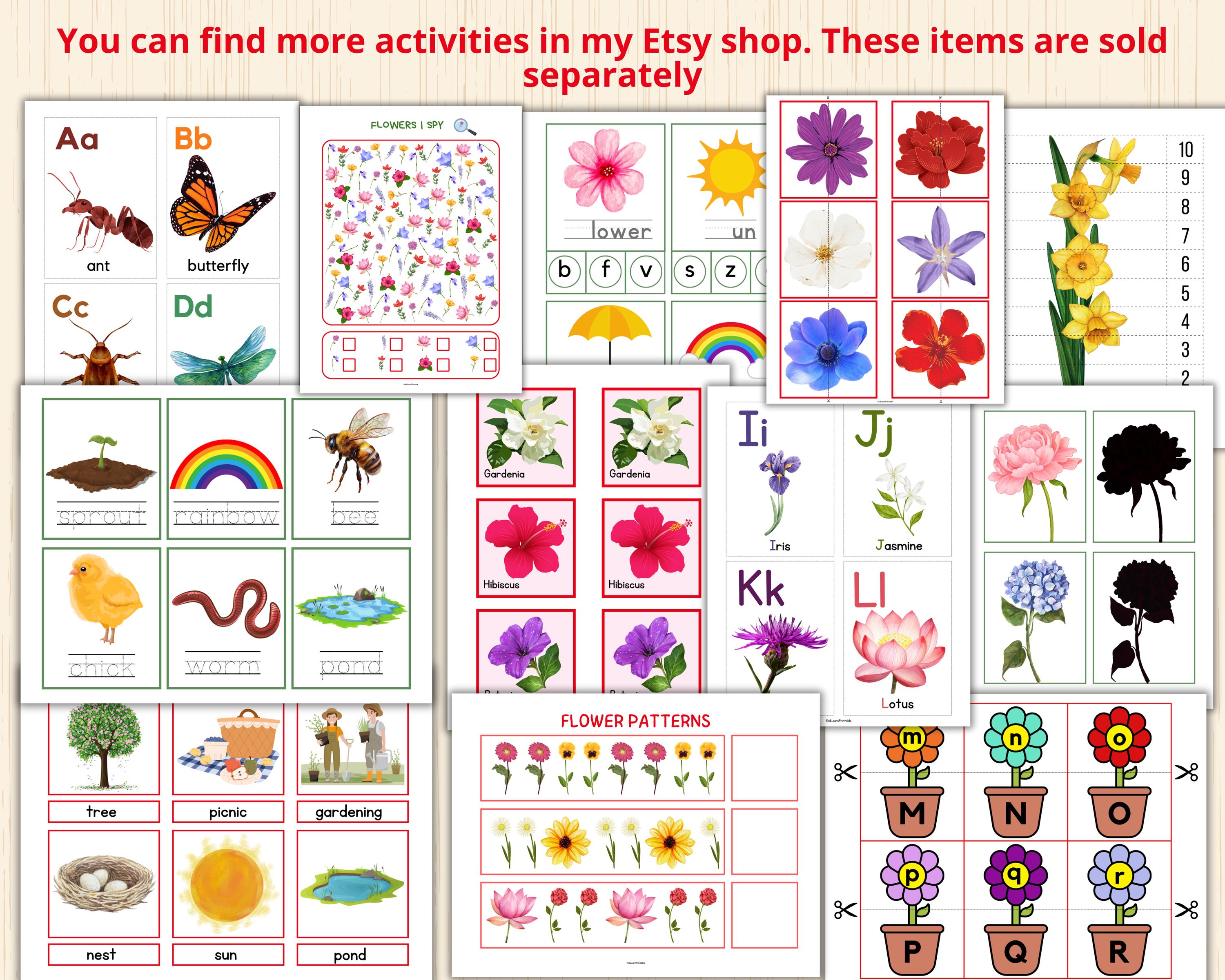 Flower Butterfly Color Matching,color Matching Game,spring Activity ...