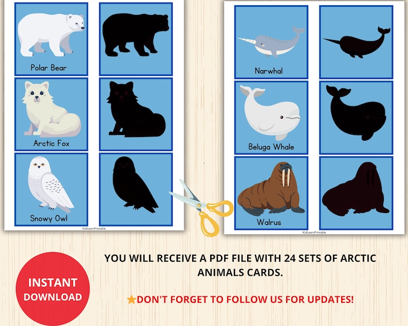 Arctic Animals Shadow Matching,north Pole Animals,winter Matching ...