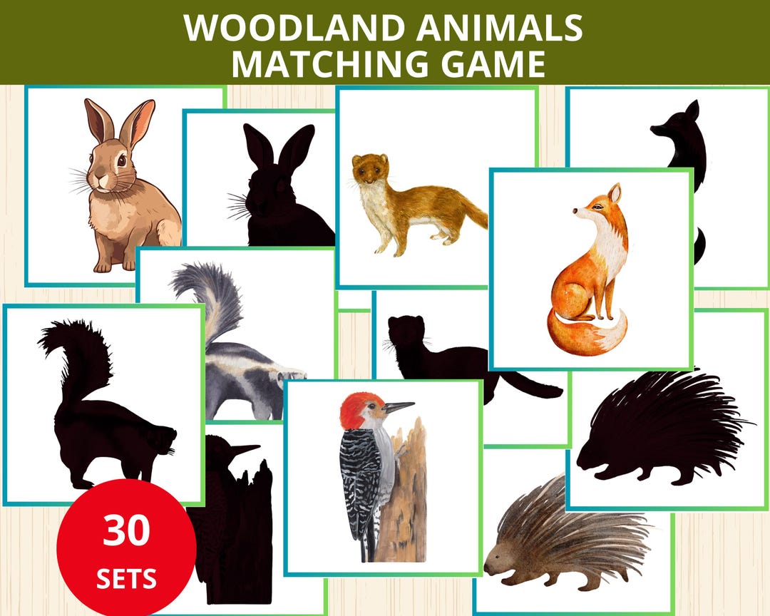 Woodland Animals Shadow Matching,forest Animals Cards,preschool ...