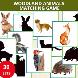 Woodland Animals Shadow Matching,forest Animals Cards,preschool ...