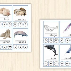 Ocean Animal Phonics Clip Cards, Beginning Sound Activity, Sea Animals ...