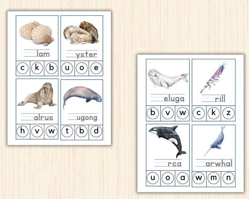 Ocean Animal Phonics Clip Cards, Beginning Sound Activity, Sea Animals ...