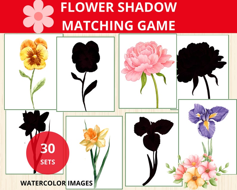 Flower Shadow Matching Card,flower Flashcards,spring Shadow,matching ...