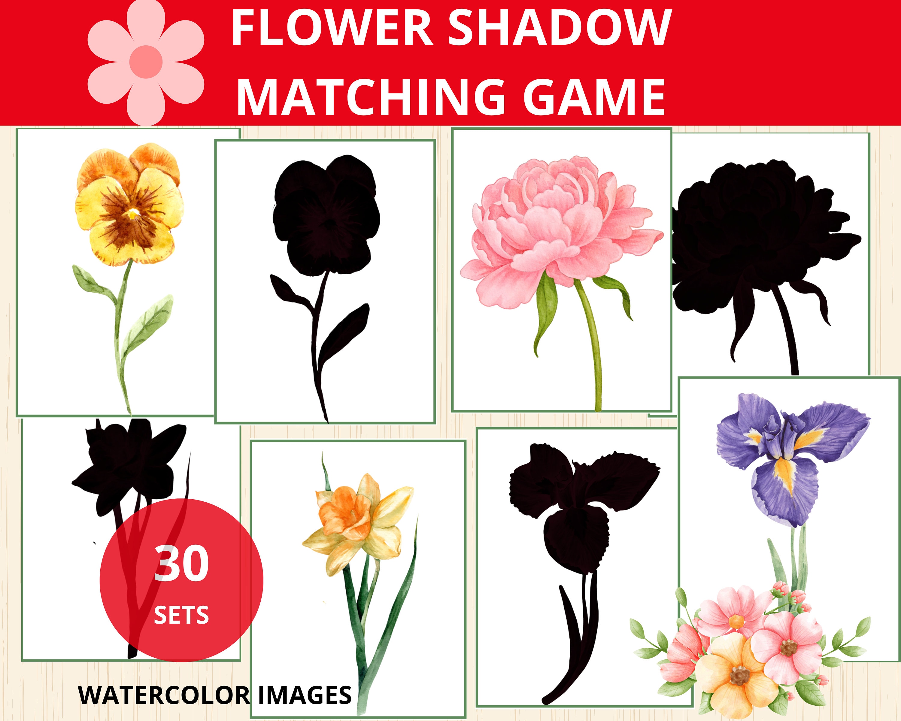 Flower Shadow Matching Card,flower Flashcards,spring Shadow,matching ...
