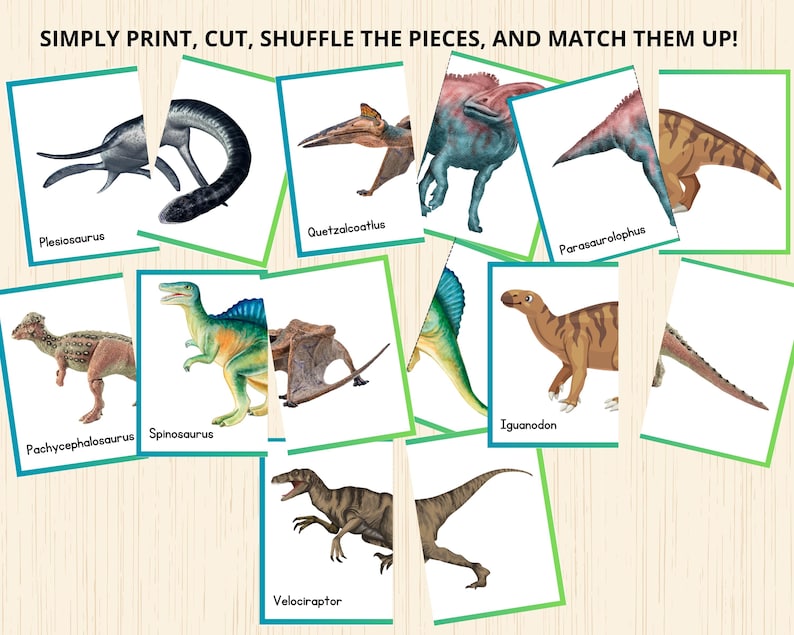 Dinosaur Flashcard,halves Matching,dinosaur Montessori,dinosaur ...