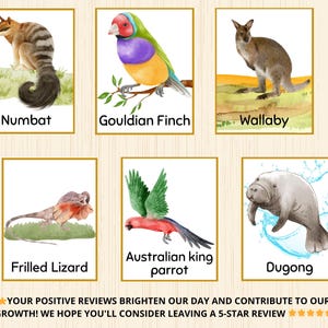 Australian Animal Flashcards,australia Flash Cards,australia Montessori ...