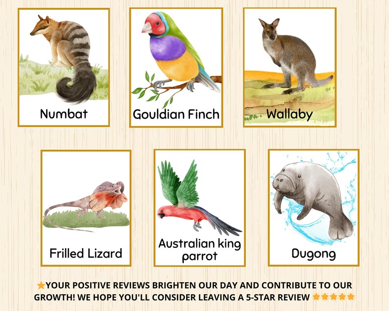 Australian Animal Flashcards,australia Flash Cards,australia Montessori ...