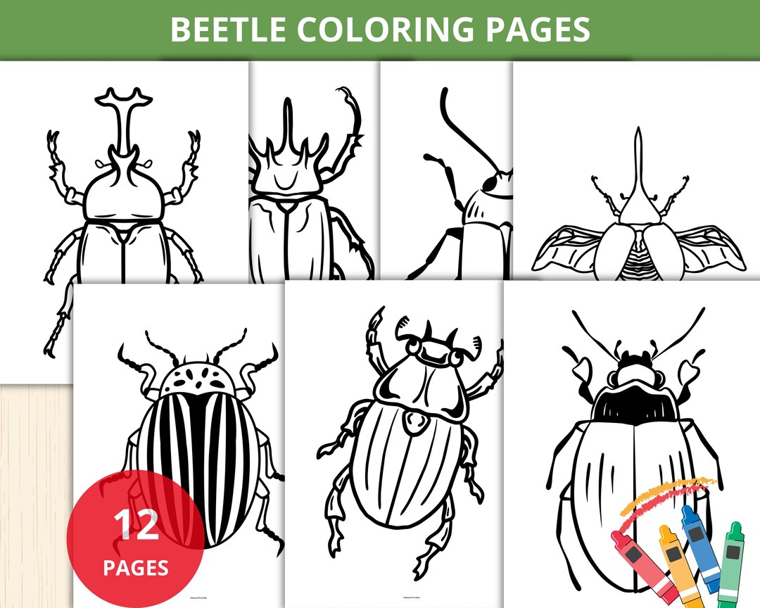 Beetles Coloring Pages,beetle Coloring Sheets,beetle Unit Study,insects ...