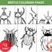 Beetles Coloring Pages,beetle Coloring Sheets,beetle Unit Study,insects ...
