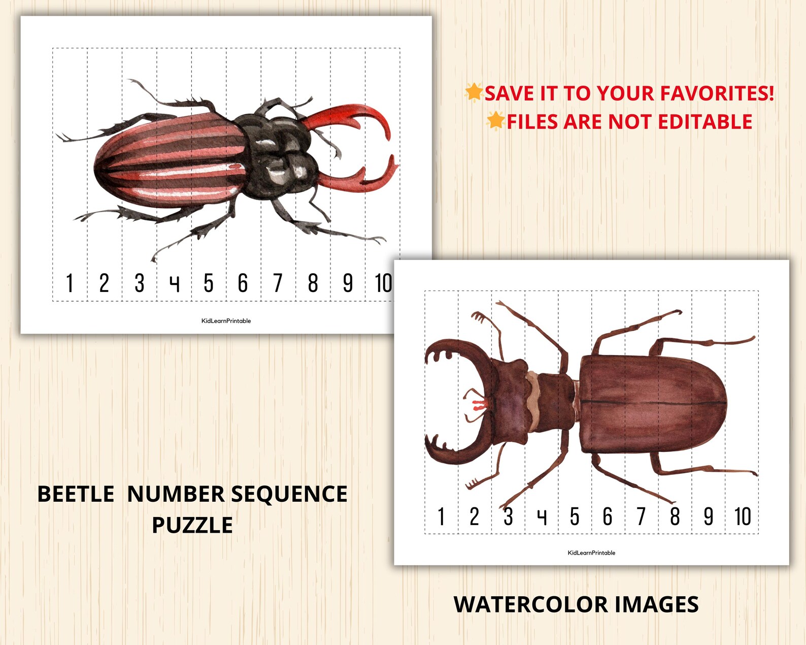 Beetle Number Puzzle,beetle Matching Activity,beetle Symmetry Puzzle ...