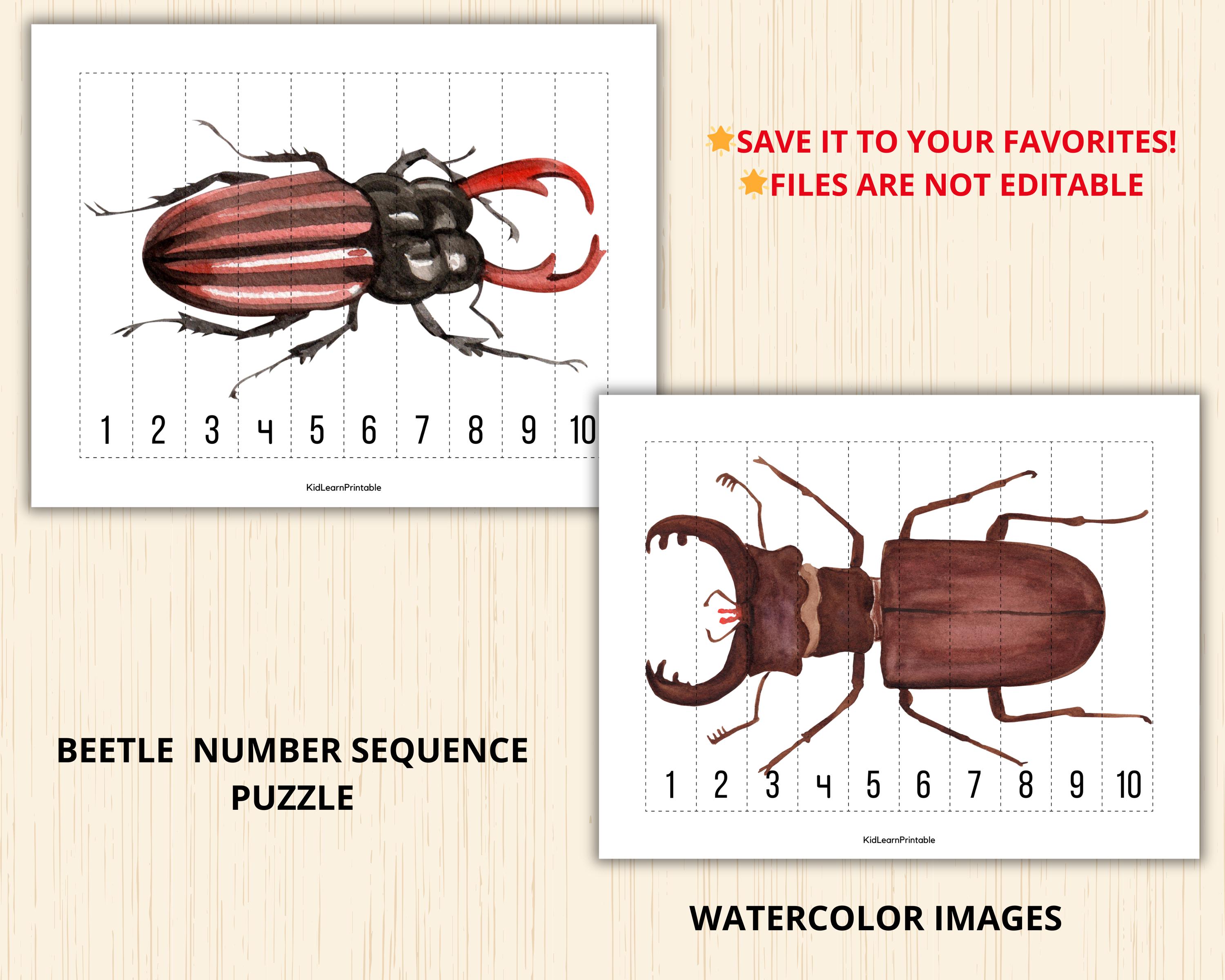 Beetle Number Puzzle,beetle Matching Activity,beetle Symmetry Puzzle ...