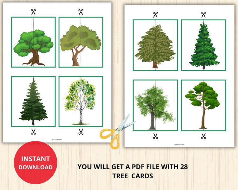 Tree Matching,tree Puzzle,trees Halves Matching,nature Preschool,spring ...