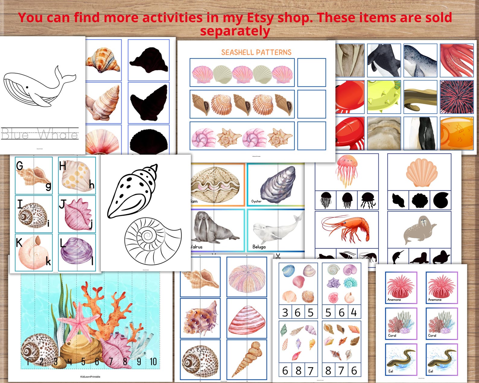 Seashell Alphabet Puzzle,beach Alphabet Matching,seashell Unit Study ...