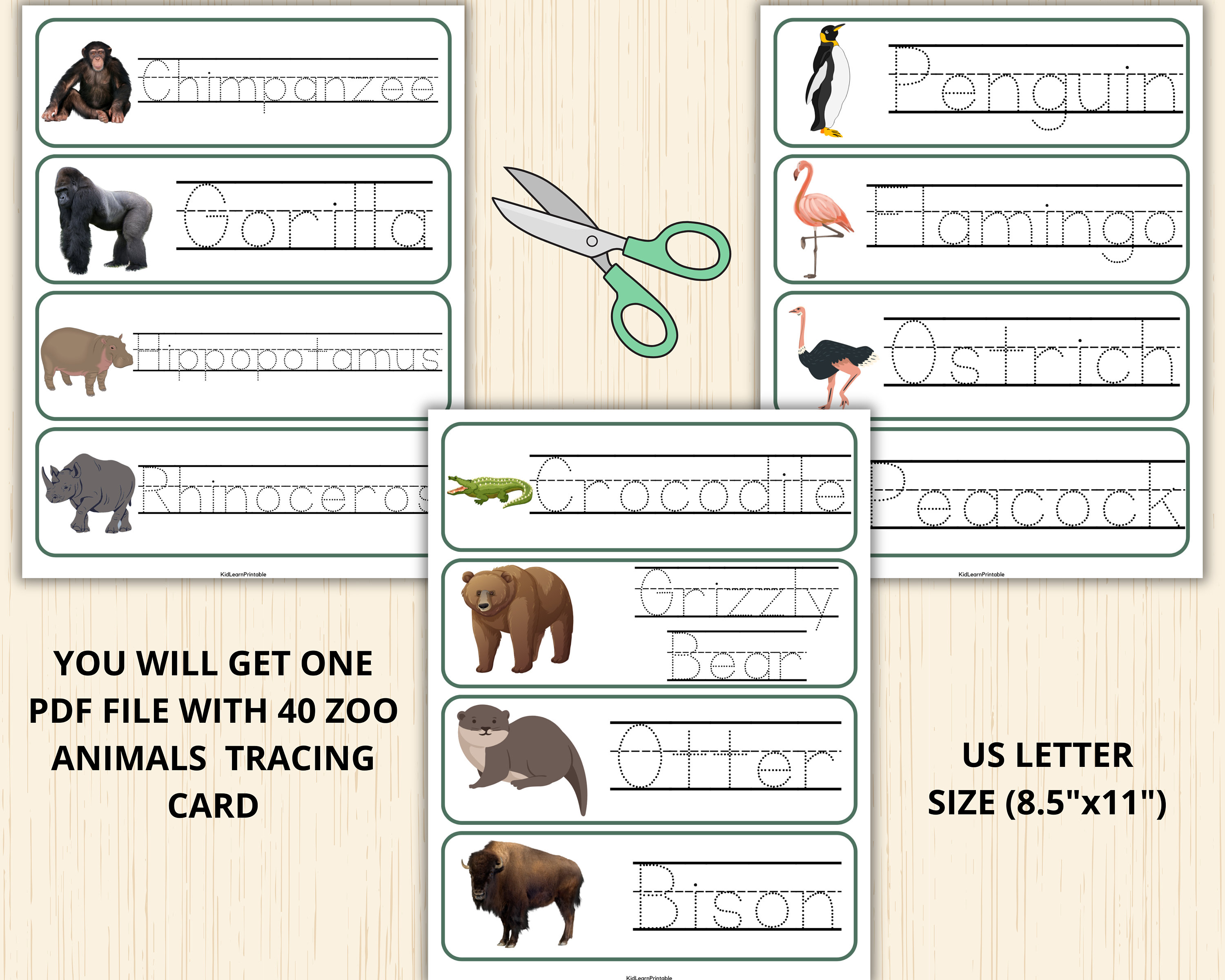 Zoo Animals Word Tracing Cards,zoo Animals Words Tracing,zoo Montessori ...
