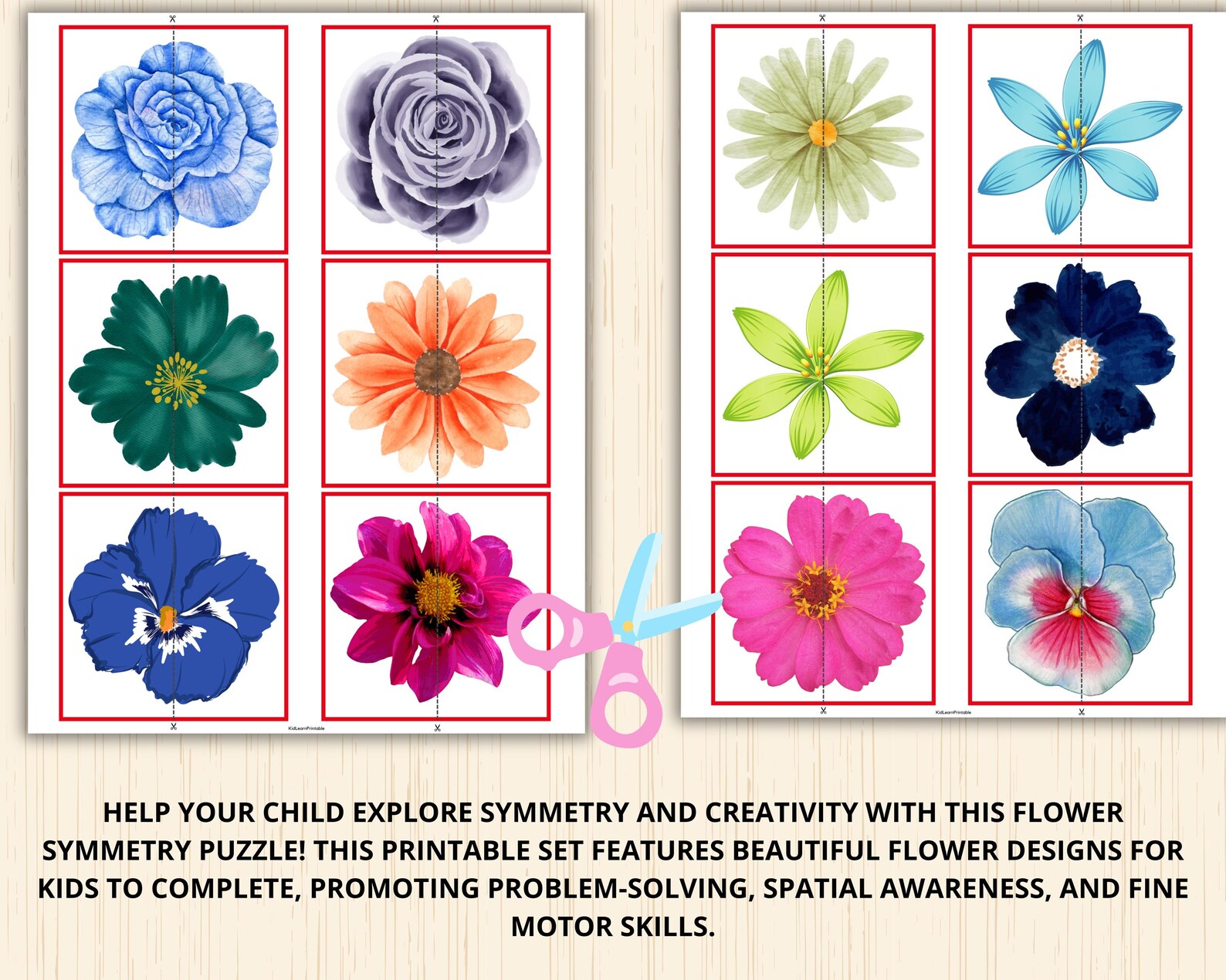 Flowers Symmetry Matching,flower Puzzle,flowers Unit Study,spring ...